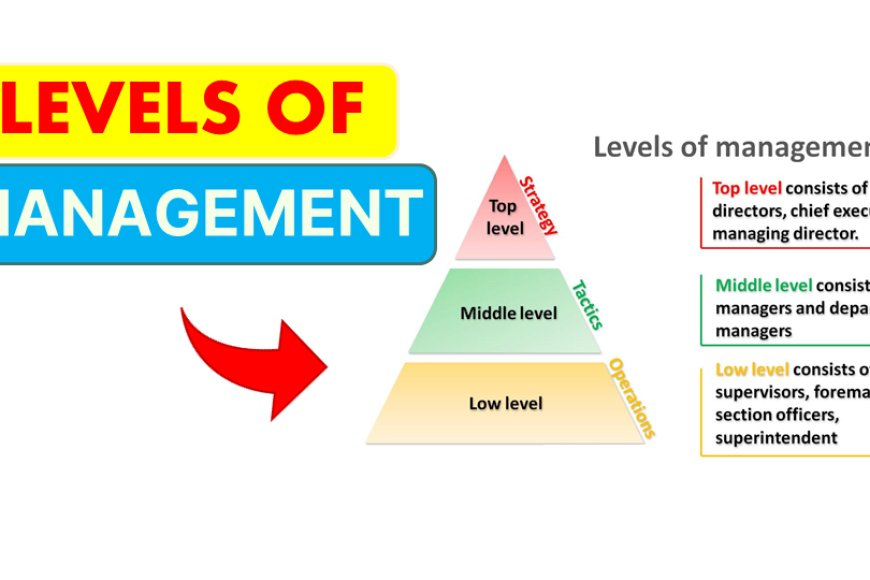 Different Levels of Management - Management Adda