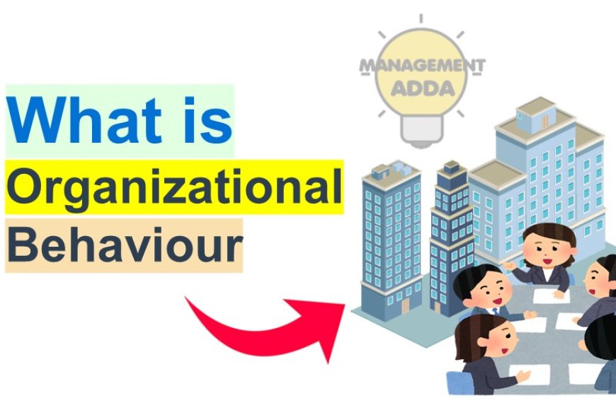 What is Organizational Behavior? - Management Adda
