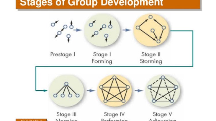 Process of Group Development - Management Adda